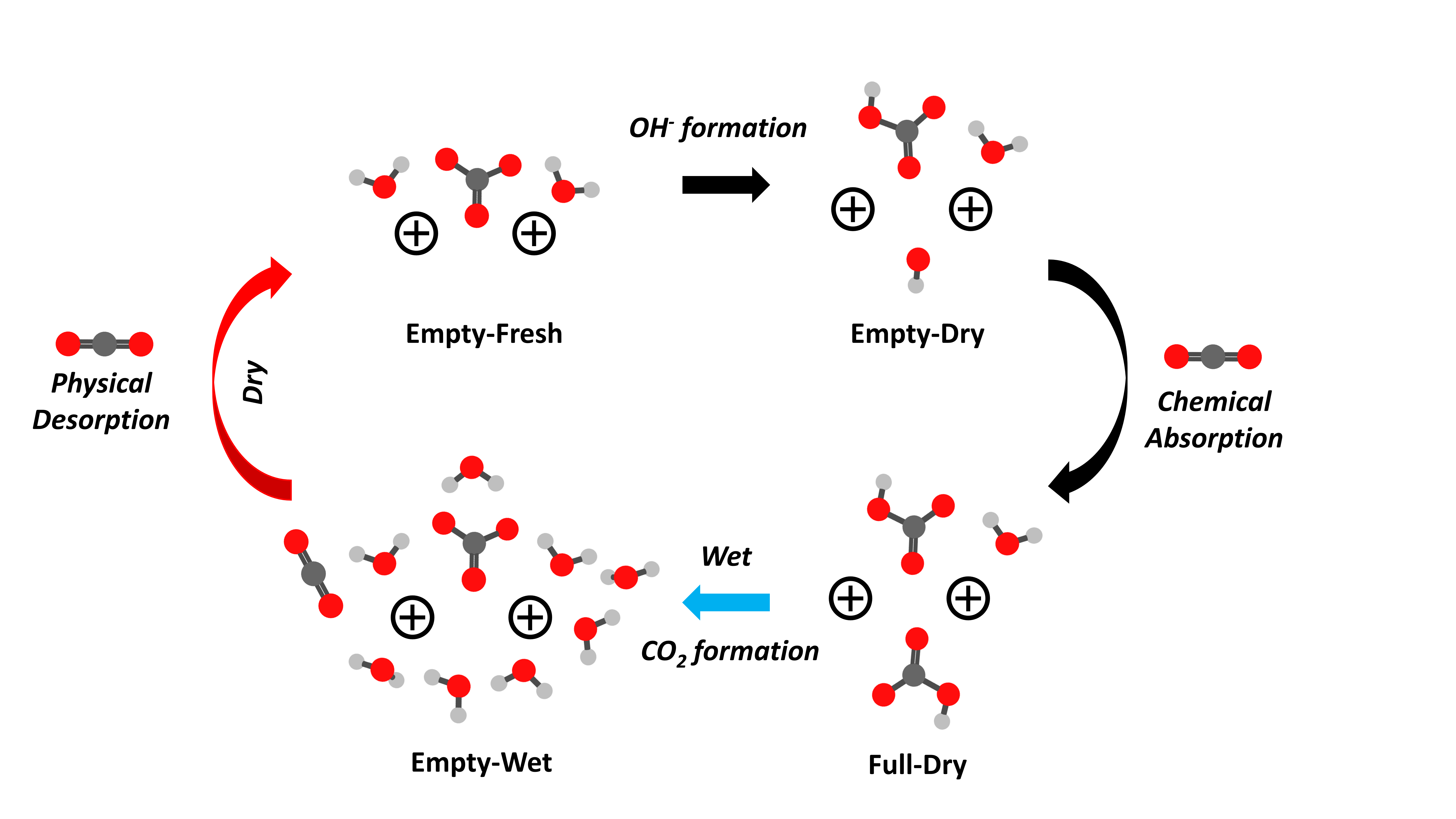 薛纳西 xue Research Group: 反常水解反应 Abnormal hydrolysis of ions